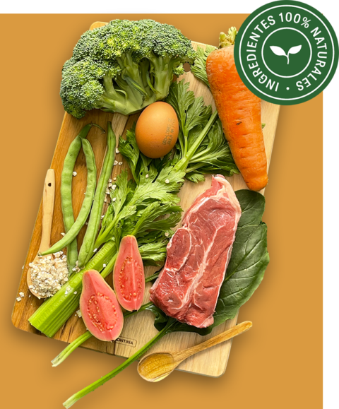 Dogo | Real food for dogs